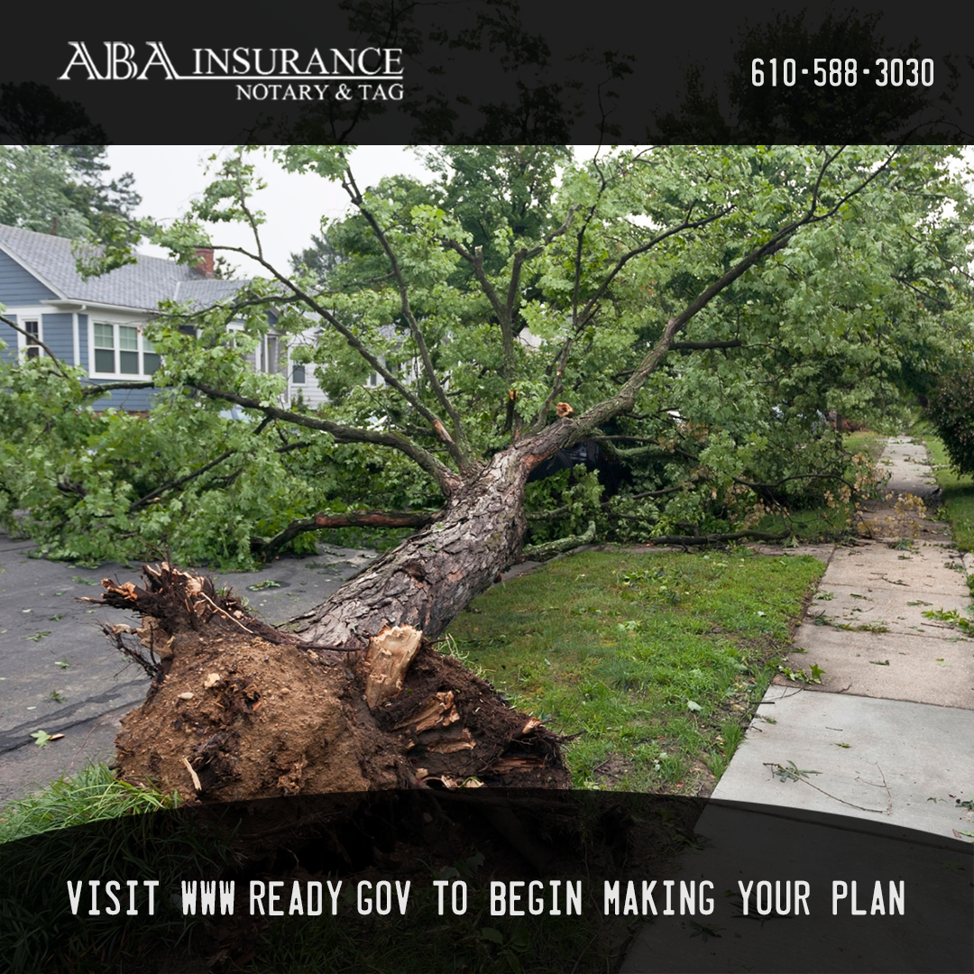Being prepared for severe weather | ABA Insurance Notary & Tag