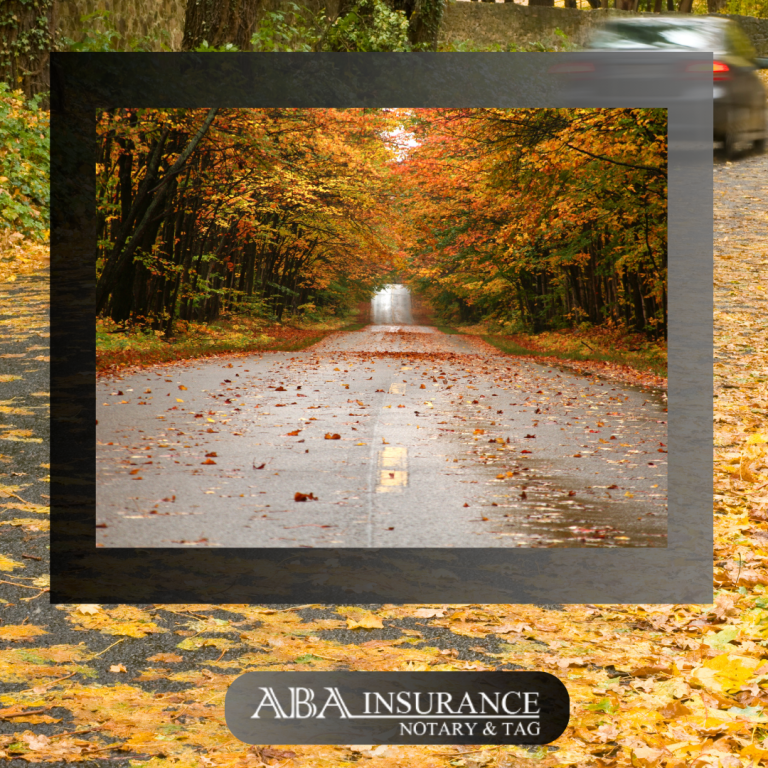 Driving risks and hazards of a new season - ABA Insurance Notary & Tag